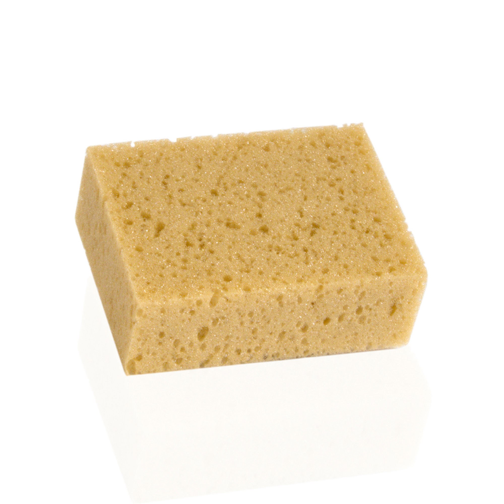 244 Spugna multiuso in poliuretano ad alta densità | Nuova Saginet